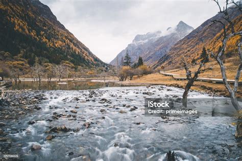 가을에는 산과 숲 사이에 푸른 강이 있는 놀라운 맑은 풍경 주자이구 자연보호구역 중국 맑은 물과 가을 숲의 아름다운 전망 0명에 대한 스톡 사진 및 기타 이미지 Istock