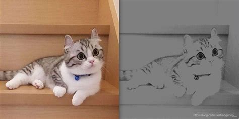 Opencv Python 图像二值化python Opencv 二值化 Csdn博客