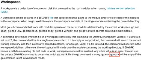X Website Ref Mod Gowork Should Be Capitalized In Go Env Gowork Issue Golang Go