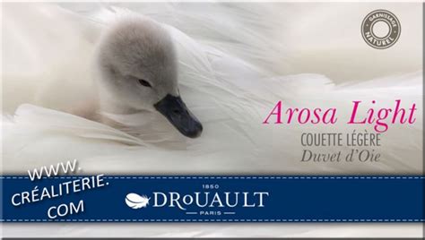 Couette Drouault Arosa Light 180 Gm² En Duvet Oie Blanc Extra Gonfland Traité Anti Acariens