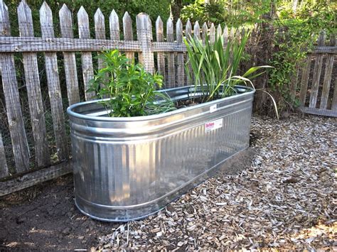 Galvanized Water Trough Planters • Insteading