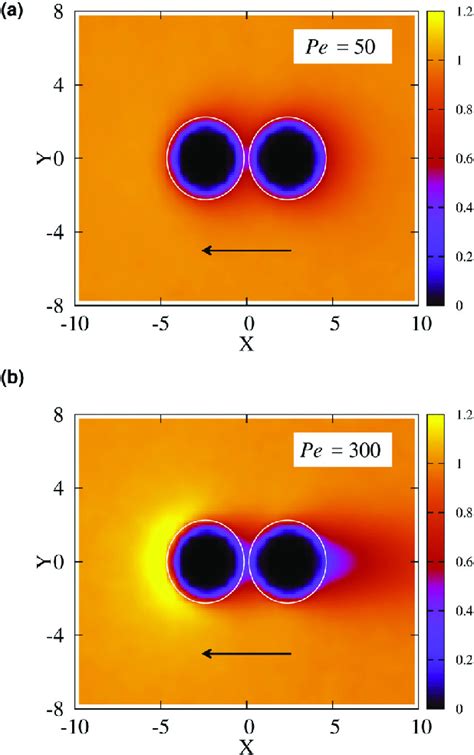 Contour Plot For Solvent Concentration Distribution Around The Dimer In