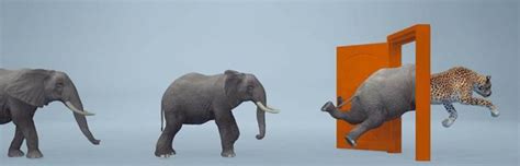 Enterprise Managers Enterprise Archival Erp Business Data Datamanagement