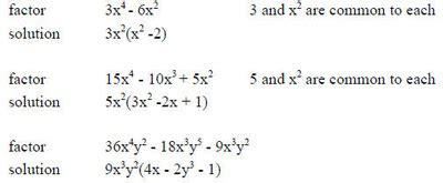 Factoring Polynomials
