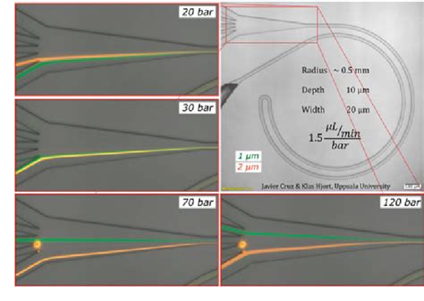 Figure 17 From Microfluidics For High Pressure Inertial Focusing Focusing Separation And