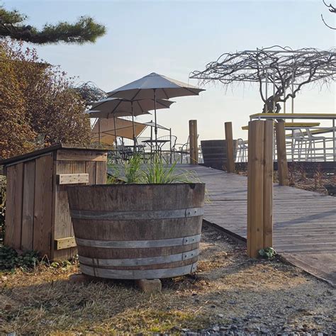 구름위의산책 와인배럴 화분 챙겨놓은지 거진 20년만에 짤랐습니다 뭘 심을까 행복한 고민중입니다