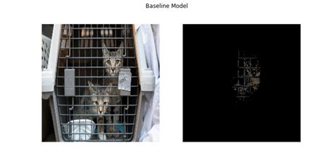 understanding your algorithm with grad cam