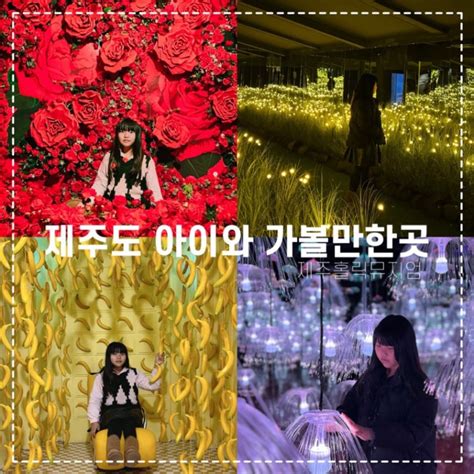 겨울 제주도 아이와 가볼만한곳 실내 여행 제주 홀릭뮤지엄 네이버 블로그