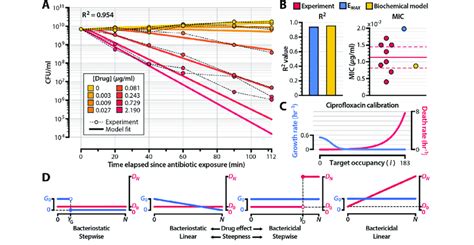 Calibrating The Model To Experimental Data Reveals Underlying