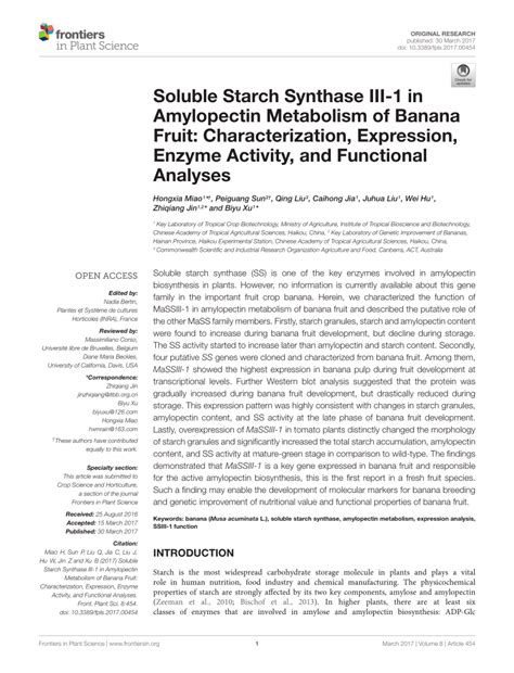 Pdf Soluble Starch Synthase Iii 1 In Amylopectin Metabolism Of Banana