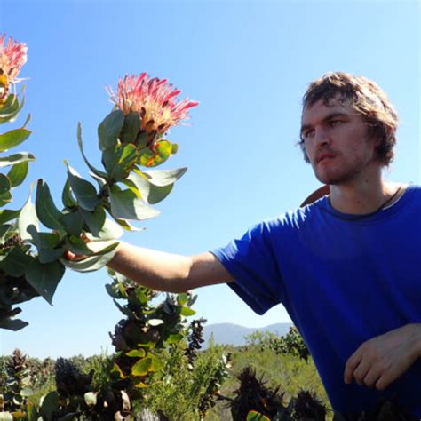 Is There A Way To Average Replicate Curves Off A Hrm Difference Curve Researchgate