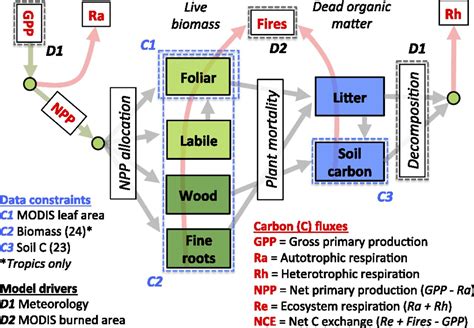 The Decadal State Of The Terrestrial Carbon Cycle Global Retrievals Of