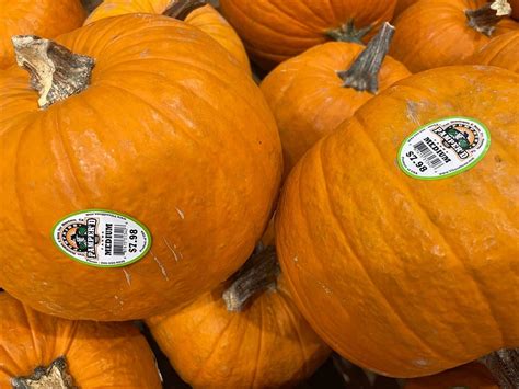 Inflation Affecting 2022 Pumpkin Prices In Pleasanton Pleasanton Ca