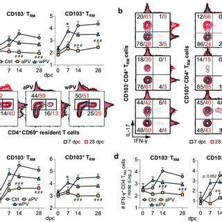 APV Immunization Impairs TRM Cell Induction In The Noses Of BALB C
