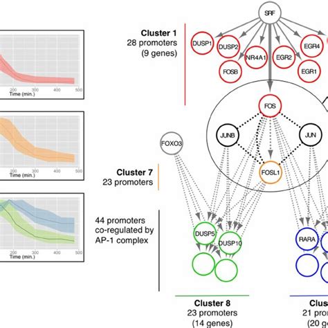 The Integrated Time Series Clustering And Motif Enrichment Analysis