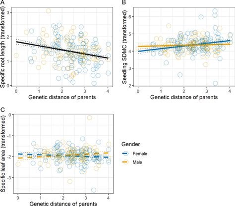 American Journal Of Botany