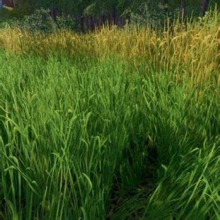 Grass Texture V LS Mod LS Mods