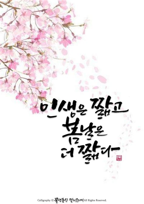 캘리그라피 Calligraphy 캘리 손글씨 멋글씨 봄 인생 봄날 삶 생활 명언 짧은 인생 배경 Pinterest 물댄동산 손글씨 좋은 아침