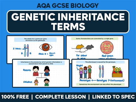 Gcse Aqa Biology Complete Lesson Genetic Inheritance Terms Teaching Resources