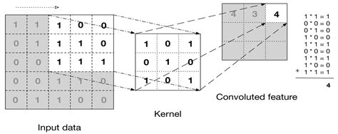 Algorithms Free Full Text Examination Of Lemon Bruising Using Different Cnn Based