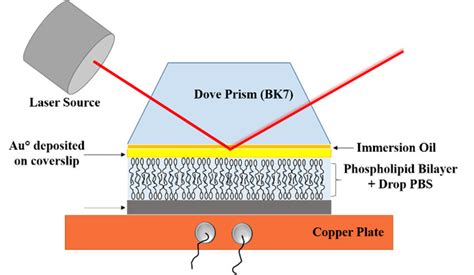 Schematic Diagram Of Surface Plasmon Resonance Spr Assembly Used For Download Scientific