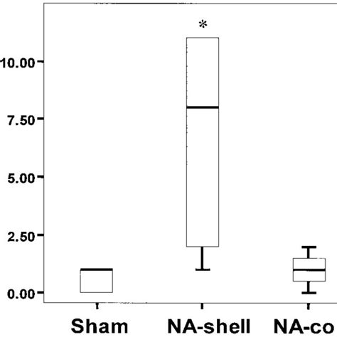 Schematic Representation Of The Nucleus Accumbens Shell A And Core