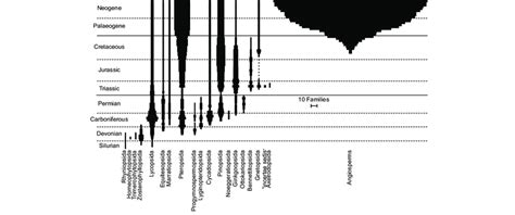 Spindle Diagram Showing Temporal Changes In Family Diversities Within Download Scientific