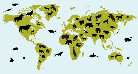 World Wildlife Map Continents With Typical Fauna World Wildlife Map Continents With Typical Fauna