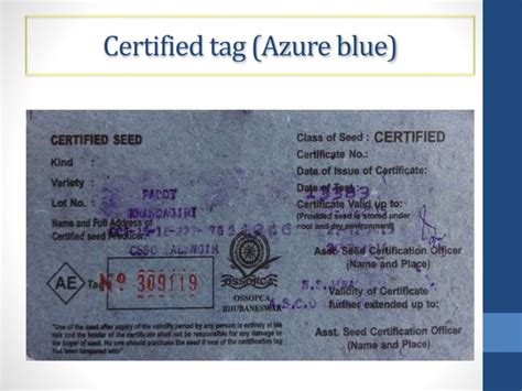 Seed Certification PPTX Agriculture Industries