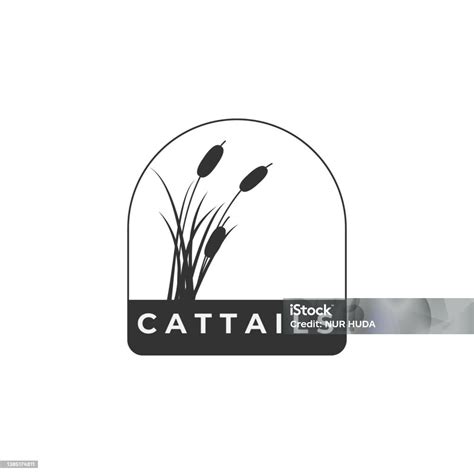캣테일 로고 라인 아트 벡터 일러스트 레이 션 템플릿 디자인 갈대속 벼과에 대한 스톡 벡터 아트 및 기타 이미지 갈대속 벼과 로고 0명 Istock
