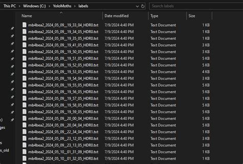From Scratch Tutorial On Ai Object Detection Wildlabs