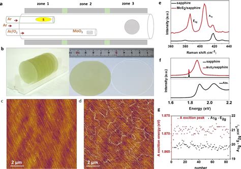 Figure 1 From Wafer Scale Growth And Transfer Of Highly Oriented Monolayer Mos2 Continuous Films