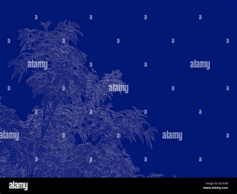 3d Rendering Of An Outlined Tree Blueprint Isolated On Blue Background