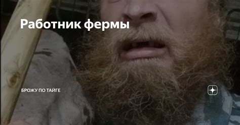 Работник фермы Брожу по Тайге Дзен