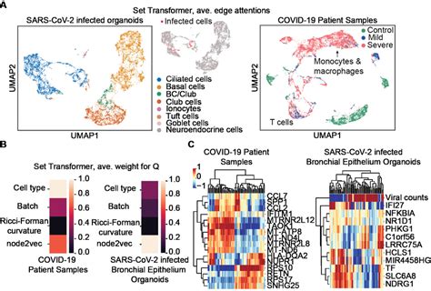 Model Interpretability To Generate Hypotheses For Genes And Cells Download Scientific Diagram