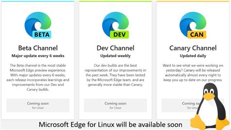 Niraiya Com Microsoft Edge For Linux Will Avaiable Soon