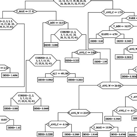 Regression Rules Depicted In Form Of Binary Tree The Hexagon Box