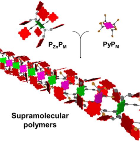 Supramolecular Coordination Polymers Designed From Light Harvesting Download Scientific Diagram