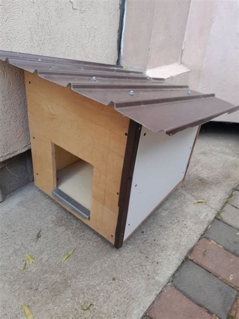 Cusca Catel Talie Mica Bucuresti Sectorul 4 • Olx Ro