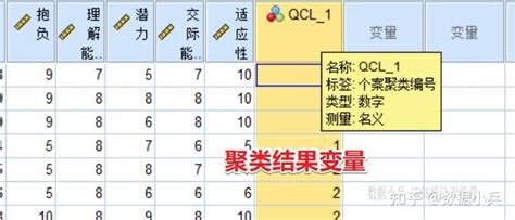 案例实践：用spss做k均值聚类分析 知乎