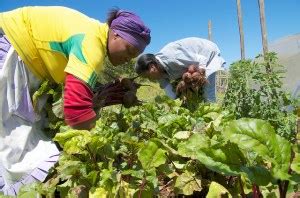 Sociology Of Small Scale Farming The Other Sociologist