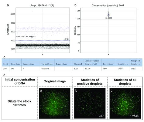A Scatter Plot By Rainsure Dpcr B Initial Dna Concentration Download Scientific Diagram