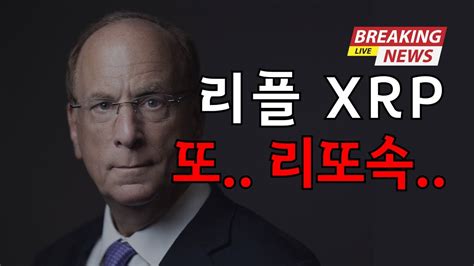 역시 리플은 리또속 Youtube