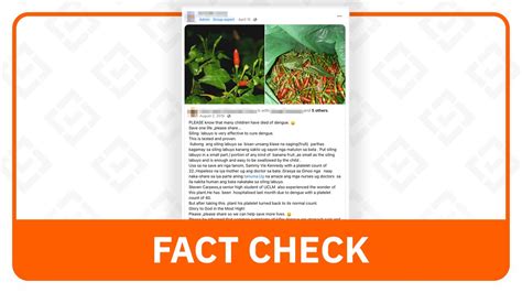 Fact Check Siling Labuyo Does Not Cure Dengue