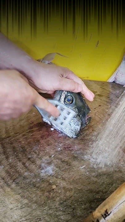 그것도 참~ 골치 아프겠어요 Youtube