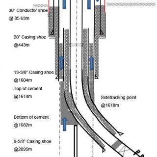 Causes Of SAP Problem Analysis And Identification Download Scientific Diagram