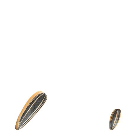 Doble Crack Doble Calidad · Pipas Facundo