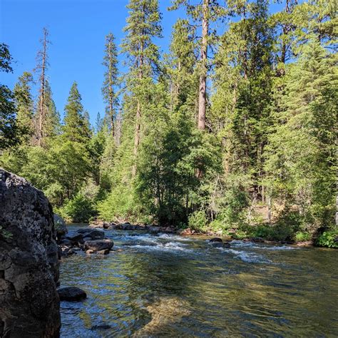 North Grove Campground — Calaveras Big Trees State Park Arnold Ca
