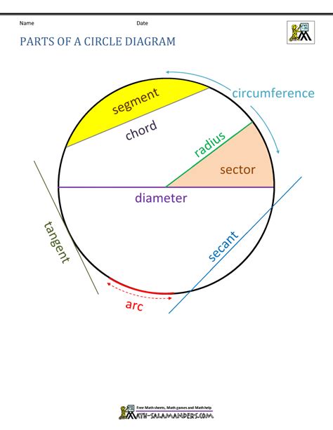 Parts Of A Circle Worksheet