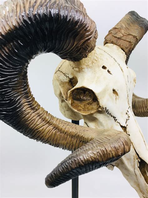 Handmade Bighorn Sheep Skull Statue Gothic Rustic Decor Etsy